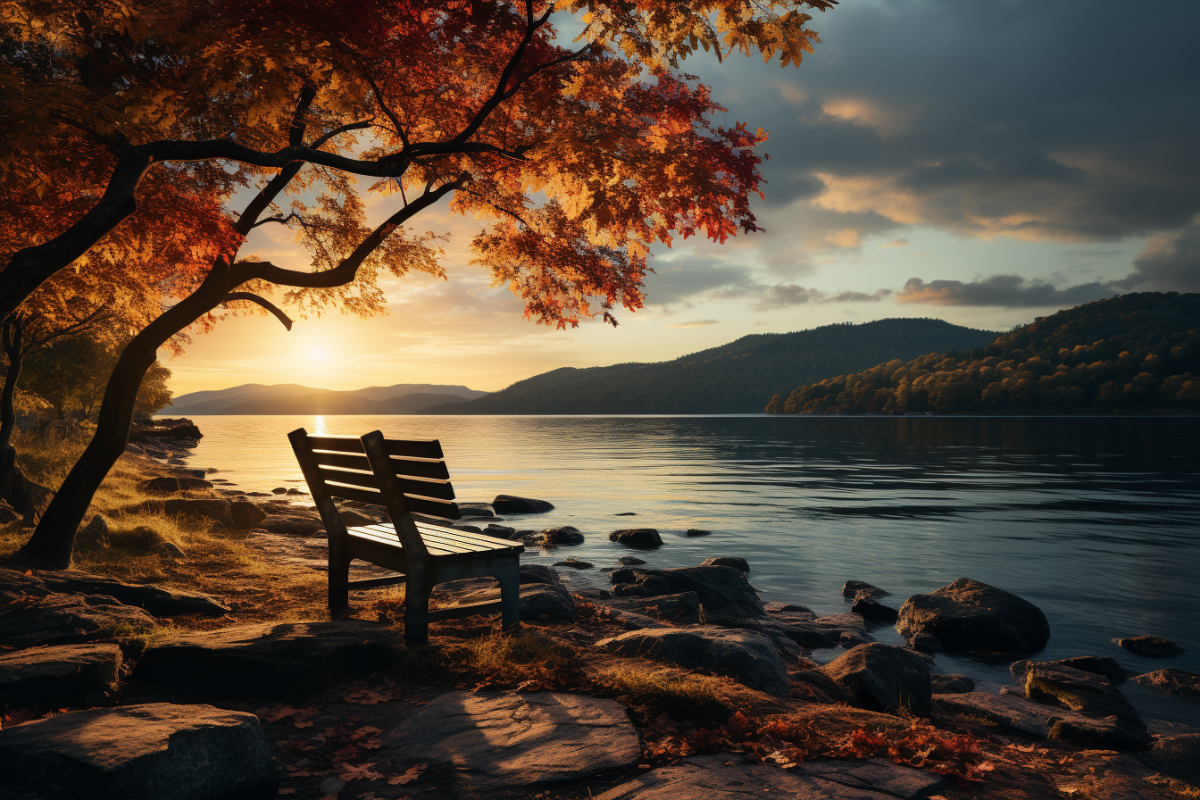 The Amazing Interplay of Brain, Body and Perception: A Closer Look at ...