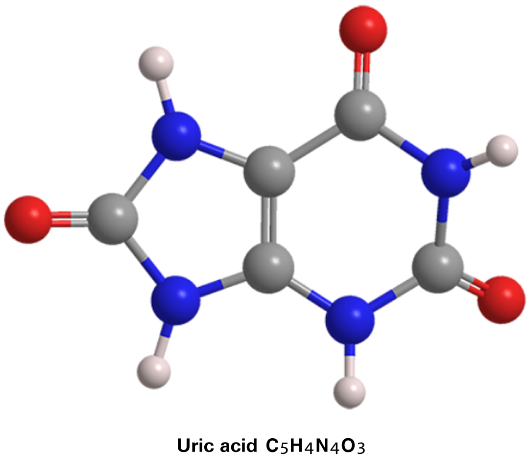 The Fructose and Uric Acid Dilemma: How Our Ancient Foraging Instincts ...